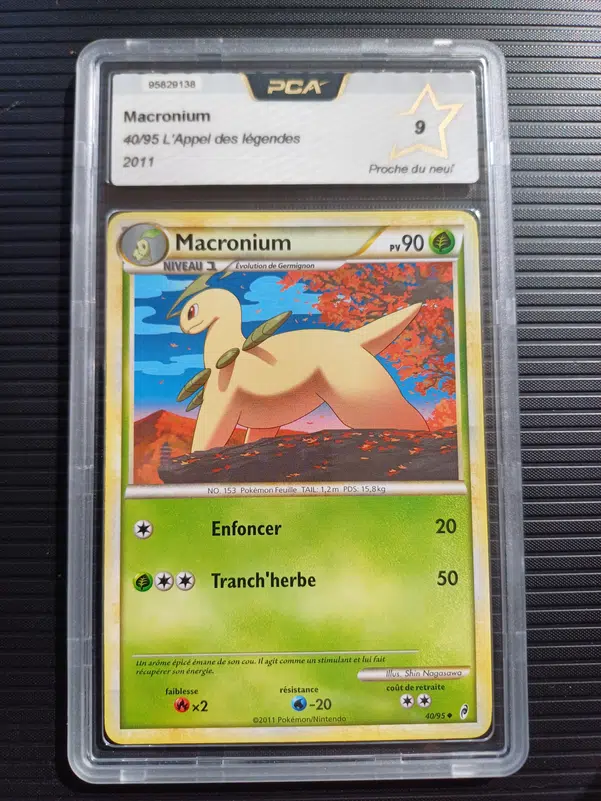 Voggt - buy Macronium