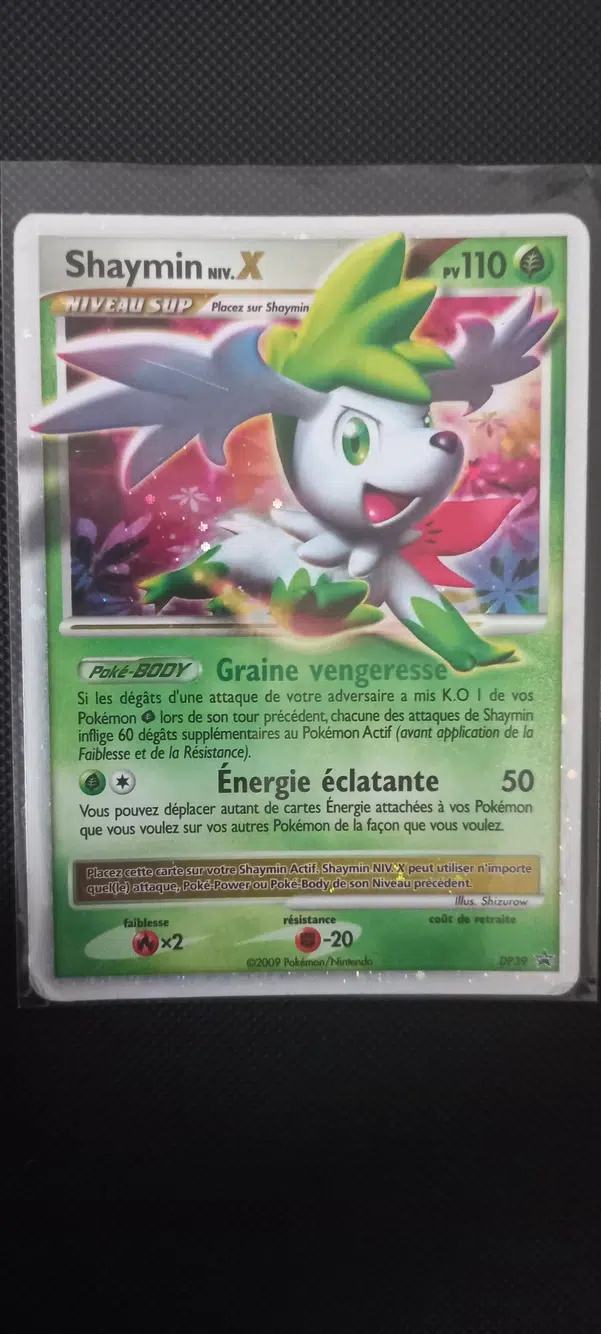 Voggt - buy shaymin niv X dDP39
