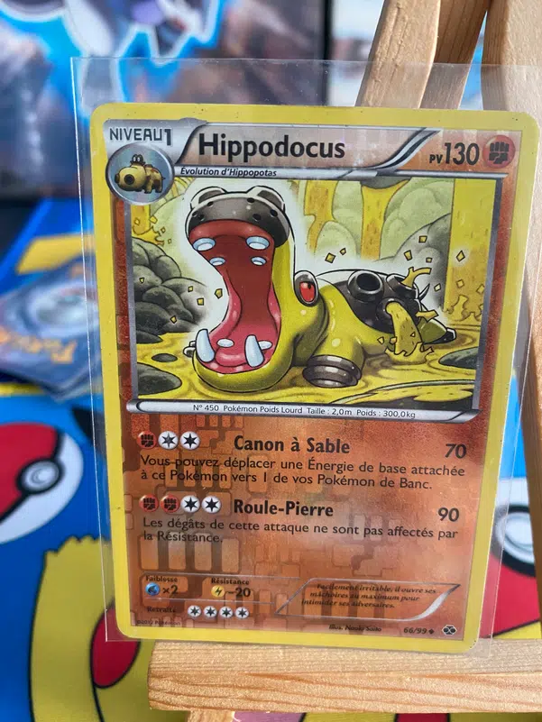 Voggt - buy Hippodocus reverse 66/99 Noir et Blanc destinées futures