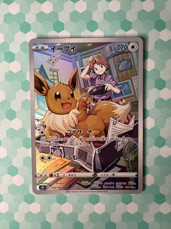 Voggt - buy Evoli 210/184 s8b