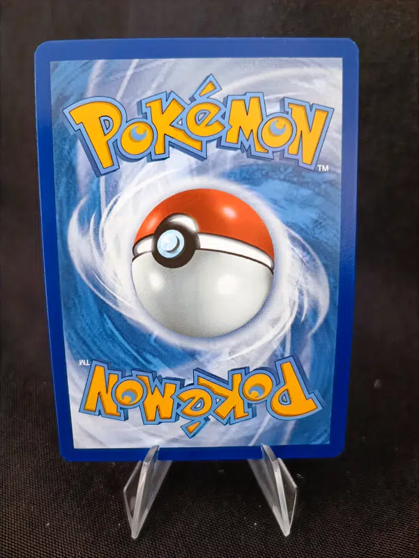 Voggt - buy Carapuce Ir - 151.- 170/165