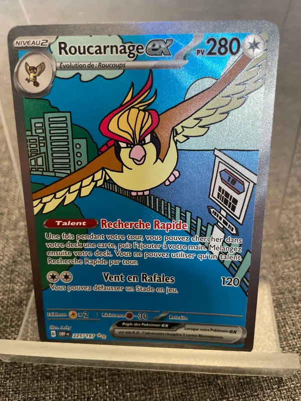 Voggt - buy Roucarnage Alt 225/197 - FR