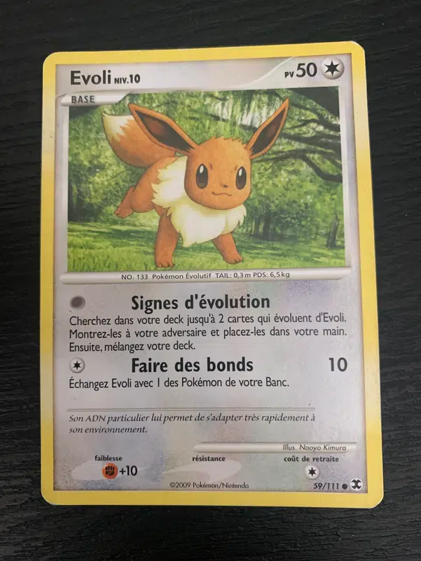 Voggt - buy 105. Evoli 59/111 Platine Rivaux Émergents