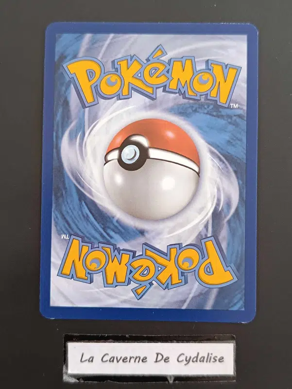 Voggt - buy Flammes Obsidiennes - Roucoups 208/197