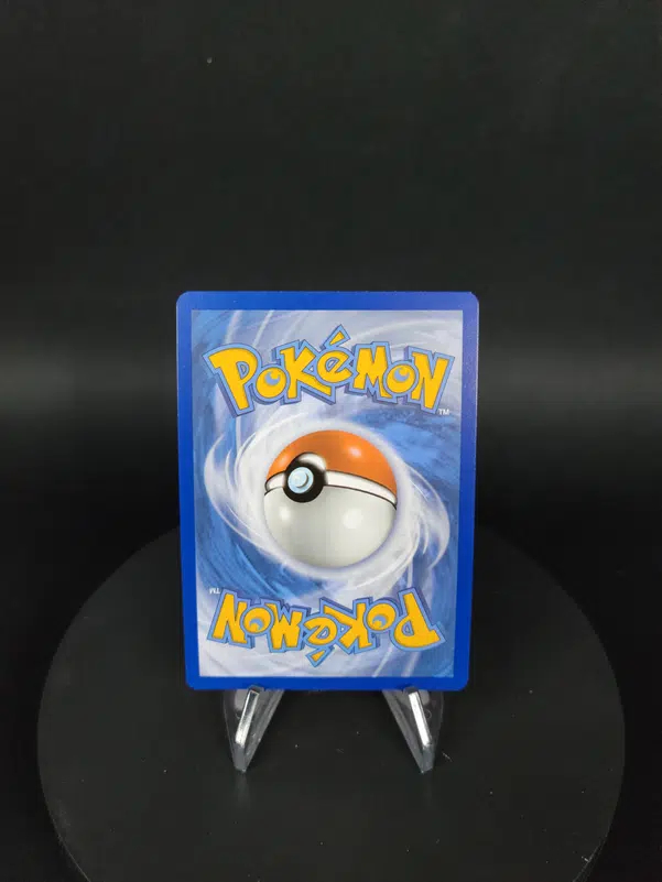 Voggt - buy Carapuce AR 170/165 - 151