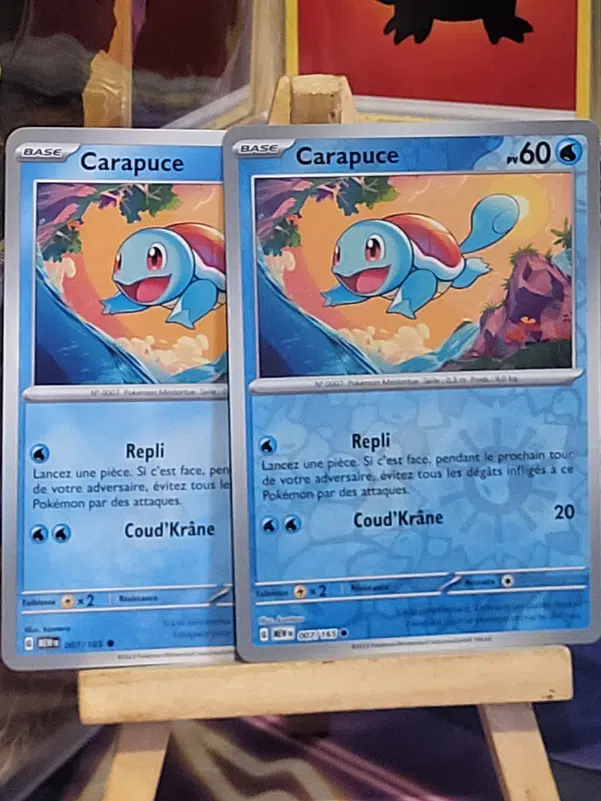 Voggt - buy 007 Carapuce