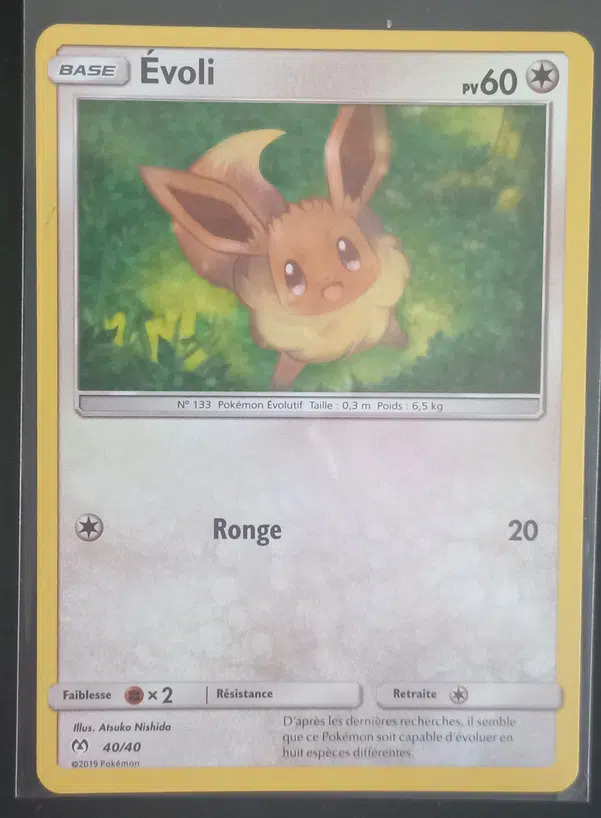 Voggt - buy Evoli holo 40/40 promo mac do 2019