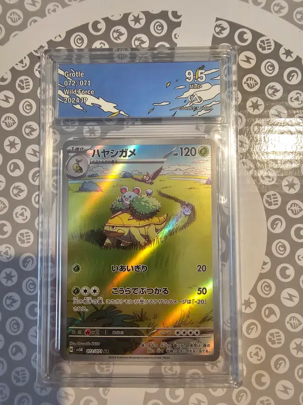 Voggt - buy GROTLE.AR/FA/ALT.2024💥WILD.FORCE.072/071.COLLECT.AURA.9.5! 💥JP