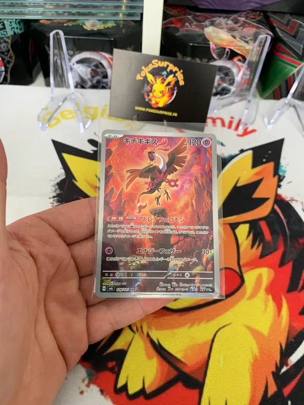 Voggt - buy Favianos SV6 108/101 AR