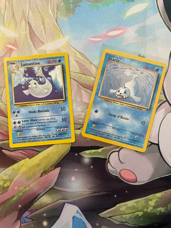 Voggt - buy Otaria lamantine