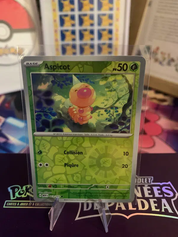 Voggt - buy Aspicot Reverse