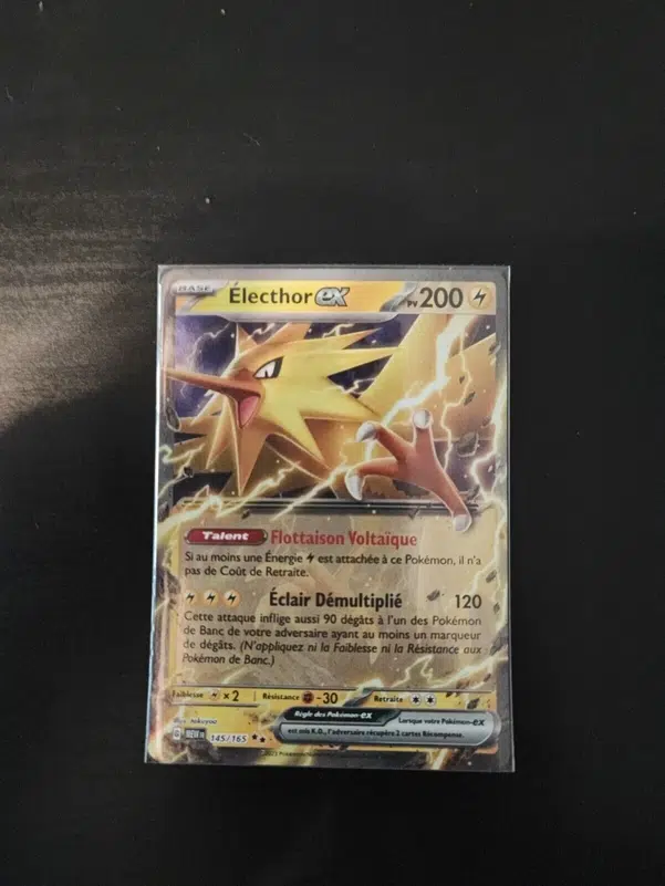 Voggt - buy Électhor EX 145/165 MEW FR