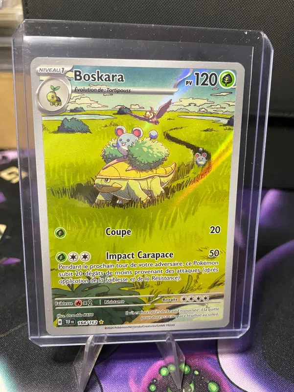 Voggt - buy Boskara AR 164/162 EV5