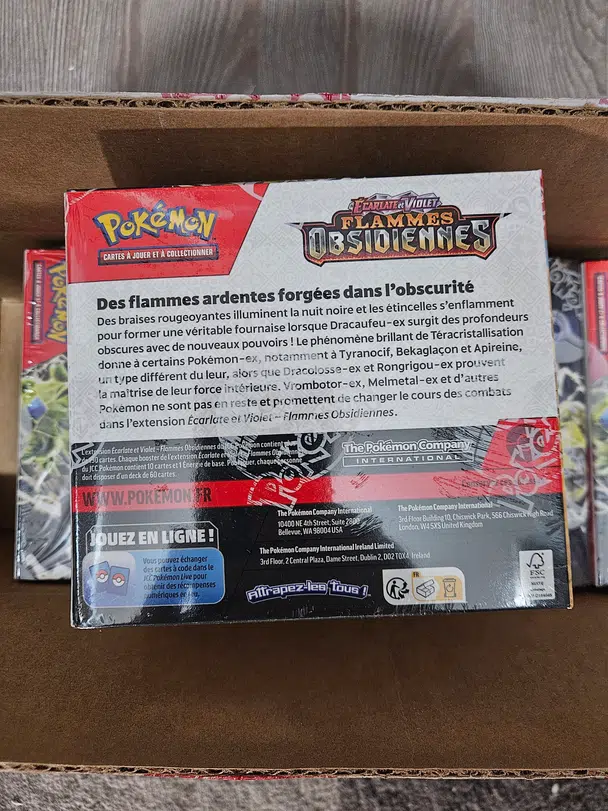 Voggt - buy Display EV3 Flammes obsidiennes