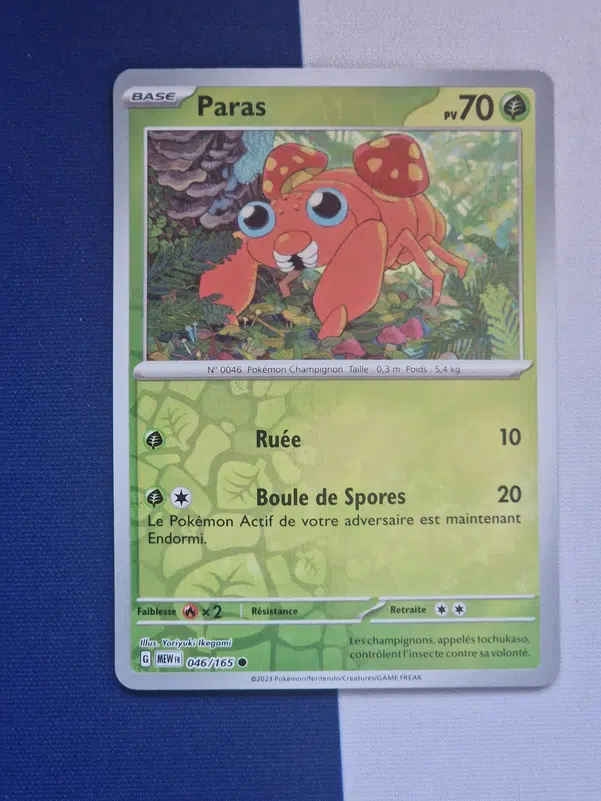 Voggt - buy Paras Reverse 151