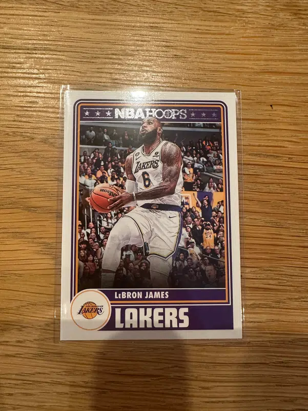 Voggt - buy Lebrown James hoops