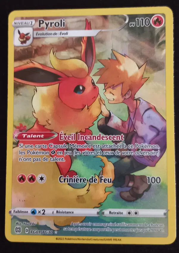 Voggt - buy Pyroli TG01/TG30