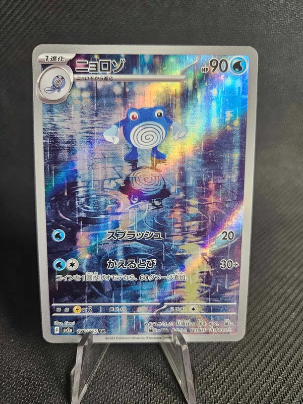 Voggt - buy Tartard ar