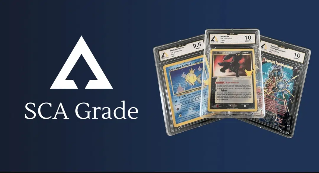 Voggt - Watch 🚨 MÉGA SHOW SCA GRADE🚨